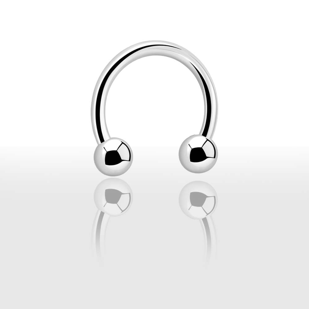 Piercing Prince Albert Inversé | Elite Piercing